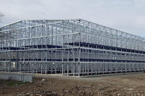 Rack Supported Structures | Pallet Racking