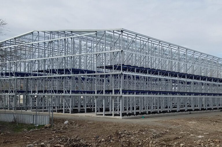 Rack Supported Structures | Pallet Racking